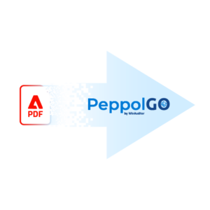 Peppol GO - WinAuditor